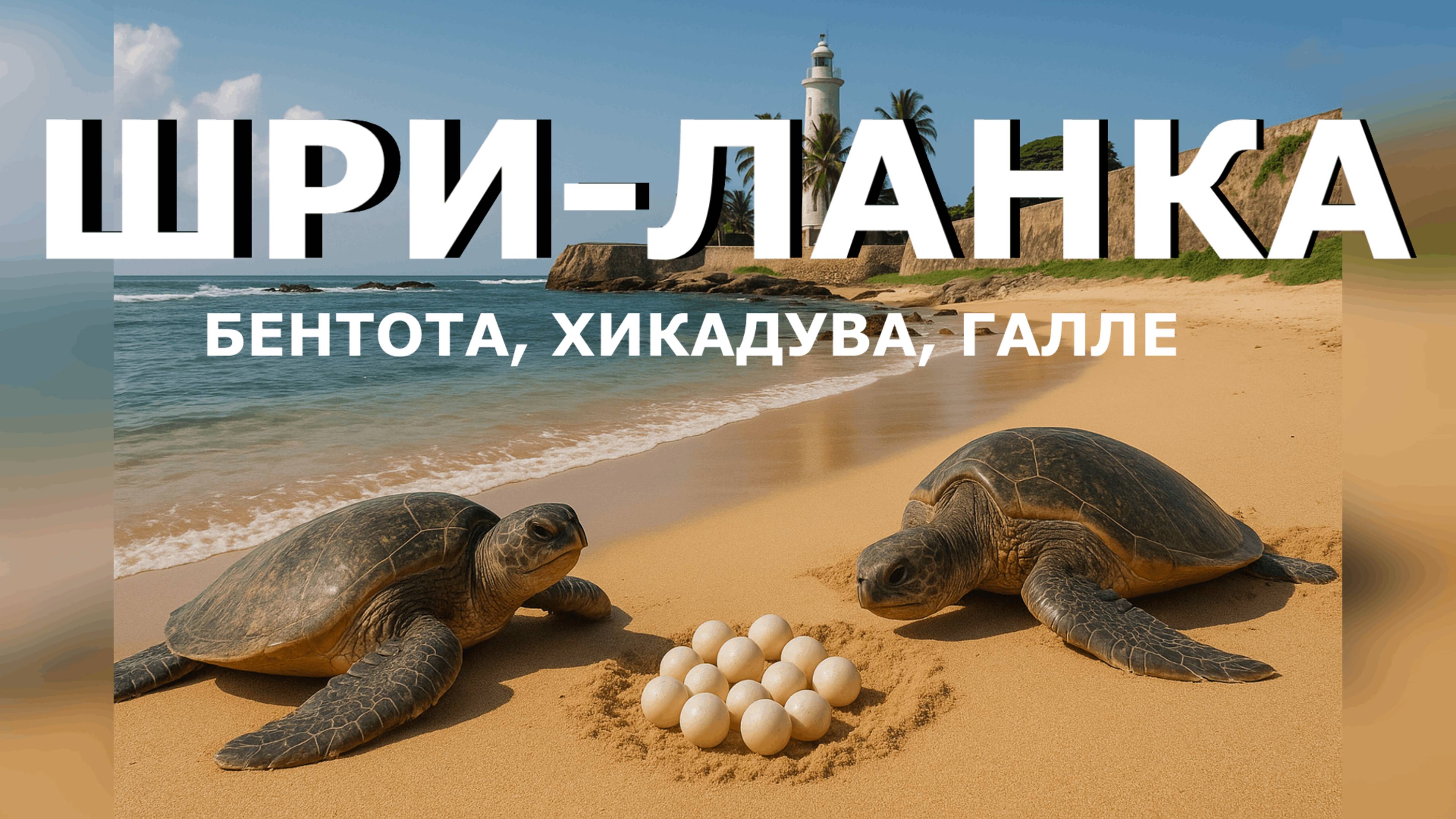 Шри-Ланка, часть 1. Лучше Гоа? Слишком милые черепашки и старинный форт