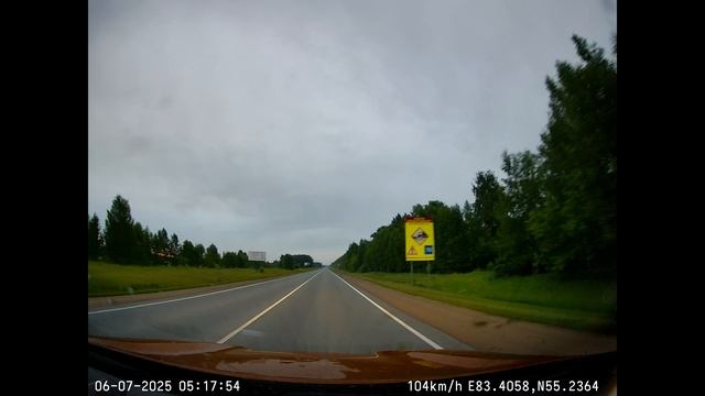 Хакасия, 2025_24. Птицы на трассе