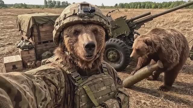 Будни русского 🐻 в зоне проведения СВО