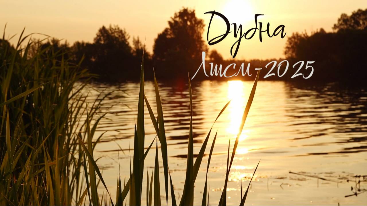 Летняя школа «Современная математика» 2025. Природа Дубны