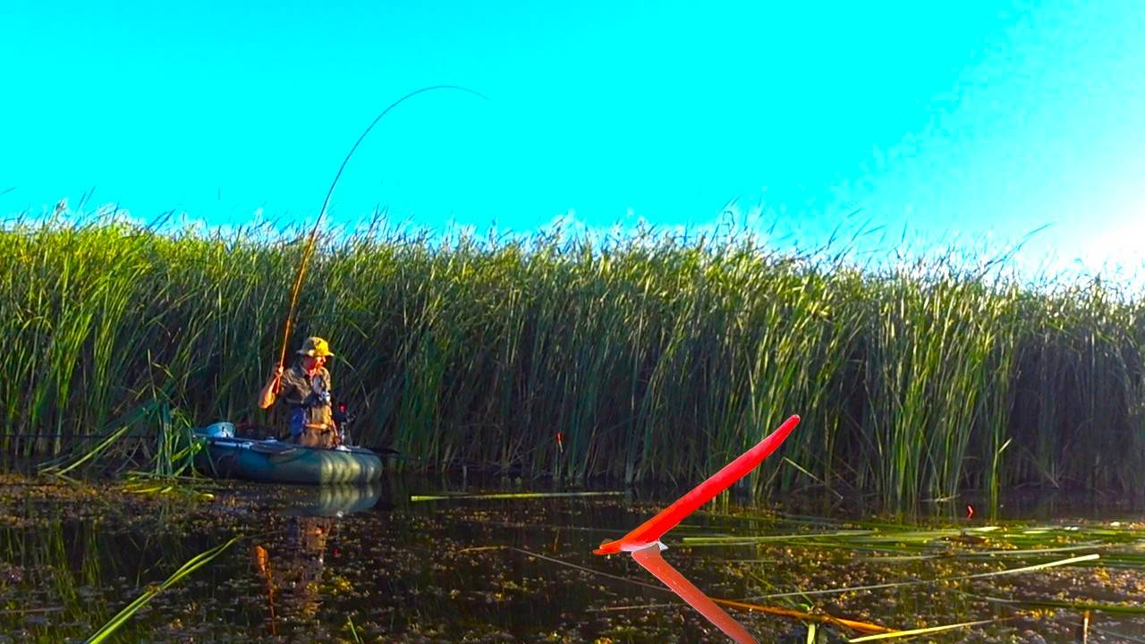 В ЛОГОВЕ ЛИНЕЙ на колхозном пруду!! Рыбалка на поплавок