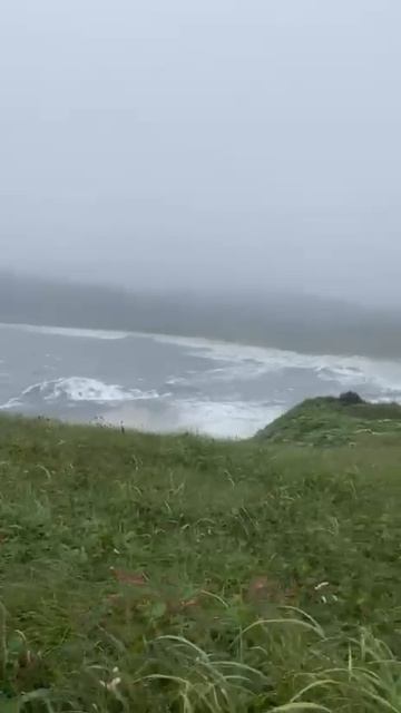 Камчатка, волны цунами