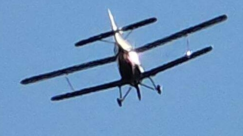 Кукурузник