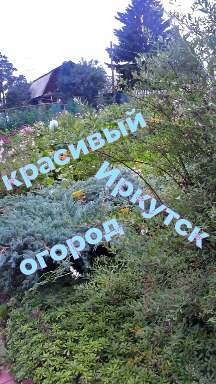 Красивая🌺природа рядом с домом | #музыка #фортепиано #релакс