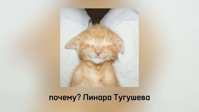 почему? Линара Тугушева
