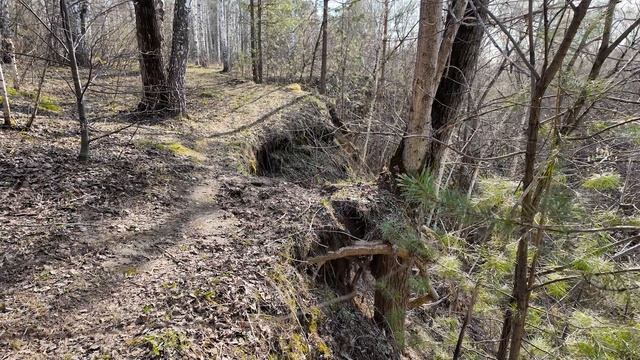 Весенний  БотСад