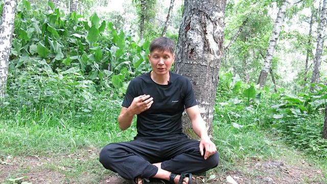 Создание мощной энергетической базы Позиция Всадника Мабудаосскиепрактики Mitry  Т