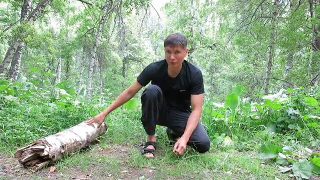 Жесткий Цигун Создаем жесткий энергетический каркас Практика 2 Стальной мост Mitry  Т