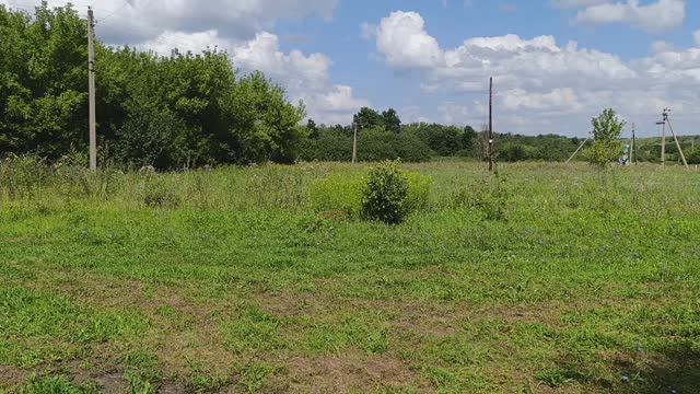 Предпоследний день отпуска , снимаю изменения на участке.