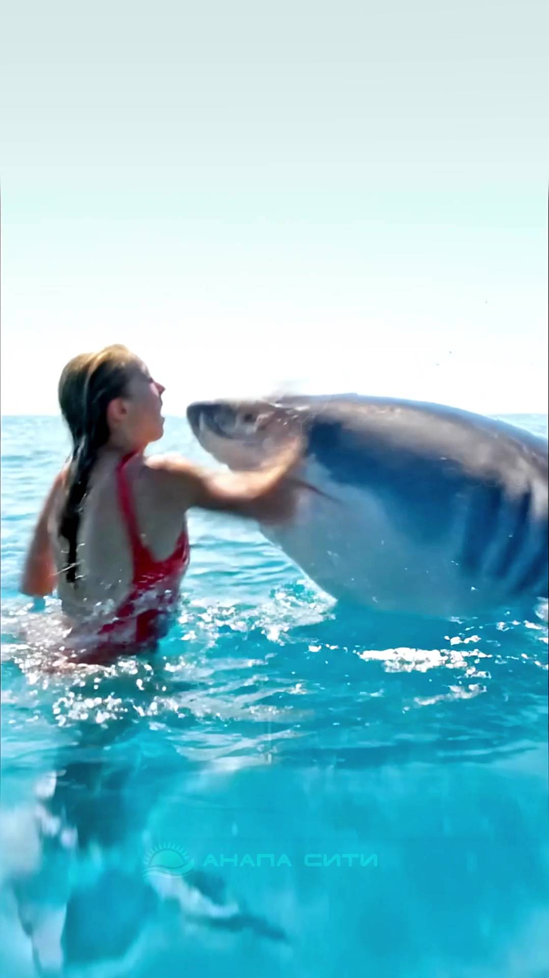 Женщина отбивается от Акулы!