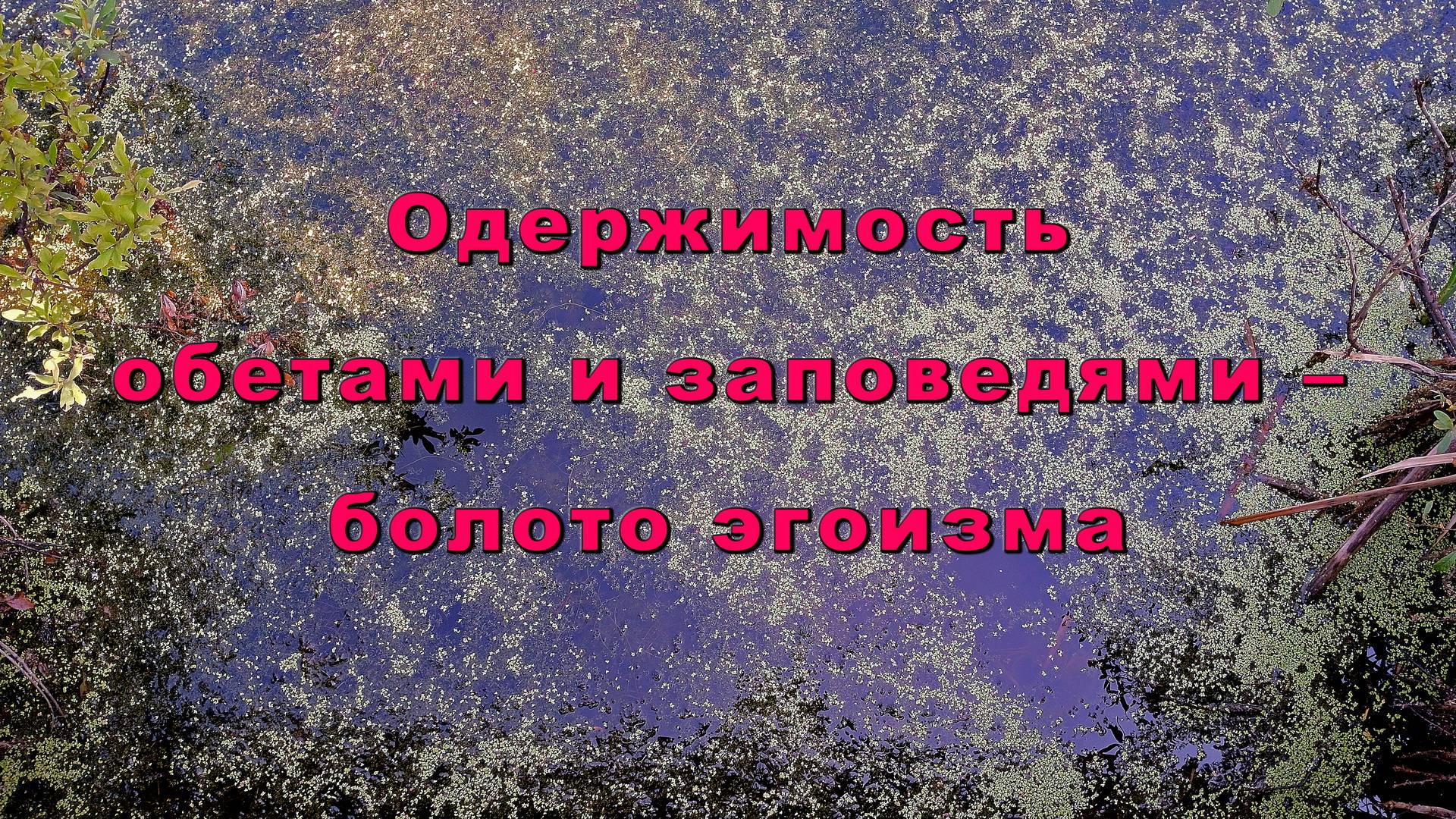 Одержимость обетами и заповедями – болото эгоизма