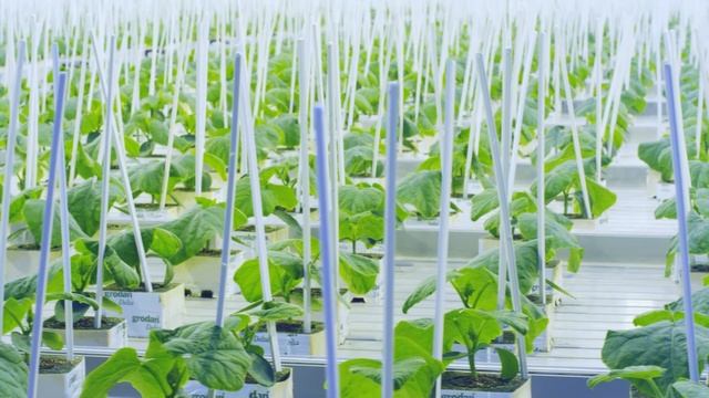 6. КОМИТЕТ ПО ТРУДУ И ЗАНЯТОСТИ НАСЕЛЕНИЯ ЛЕНИНГРАДСКОЙ ОБЛАСТИ