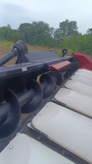 Жатка
Кукурузная 
8 рядов
Аргус 870 экспресс-обзор от Виталия Белоглазова