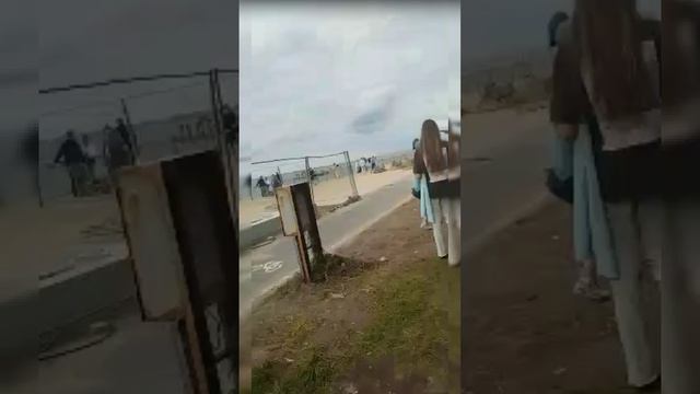 #349.1. 2025-08-04. Прогулки у моря в  Зелегноградске. Общение с кураторами на природе