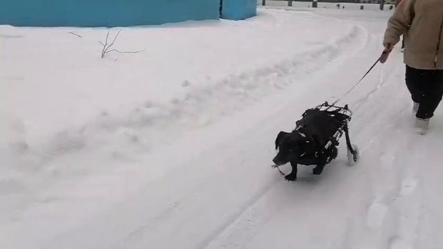 VID_20241208_122646_389