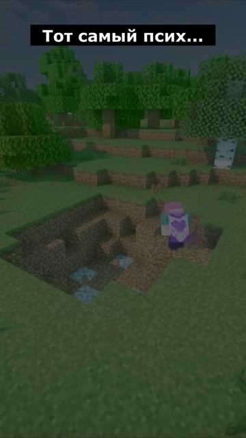 Типы игроков в Майнкрафт