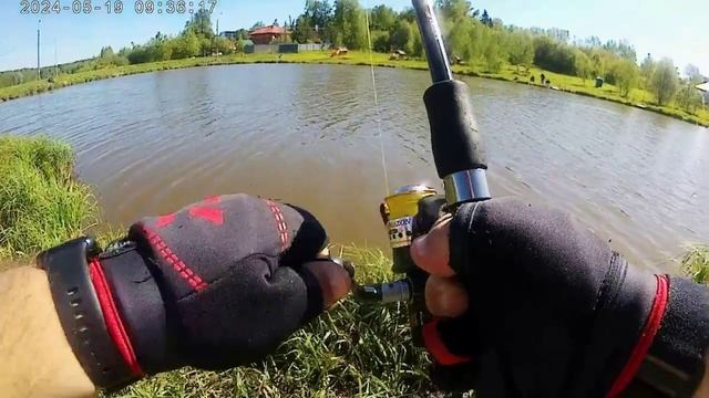 Финальный Отчет по Светлым Горам