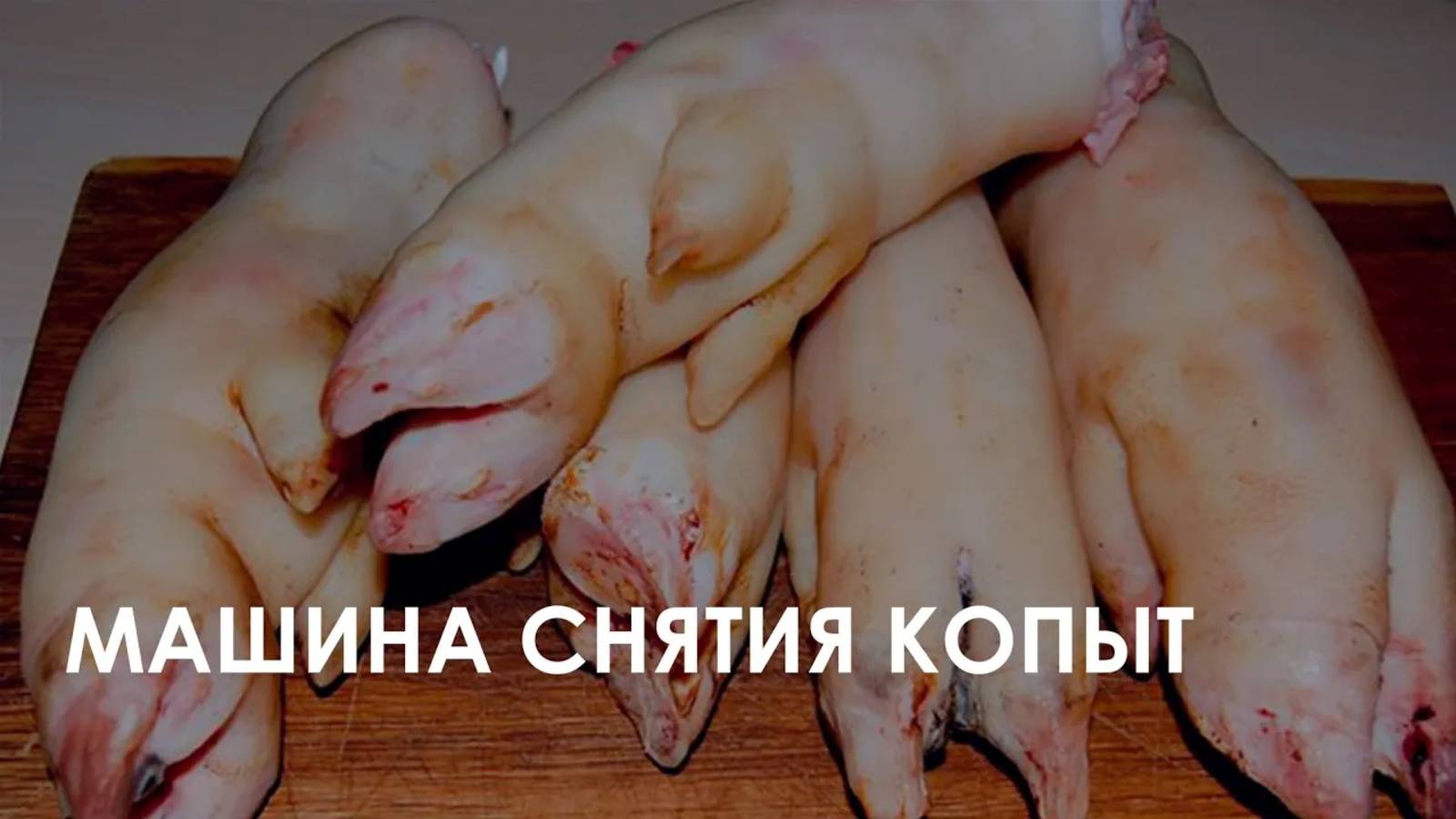 Машина для снятия копыт LF-Z