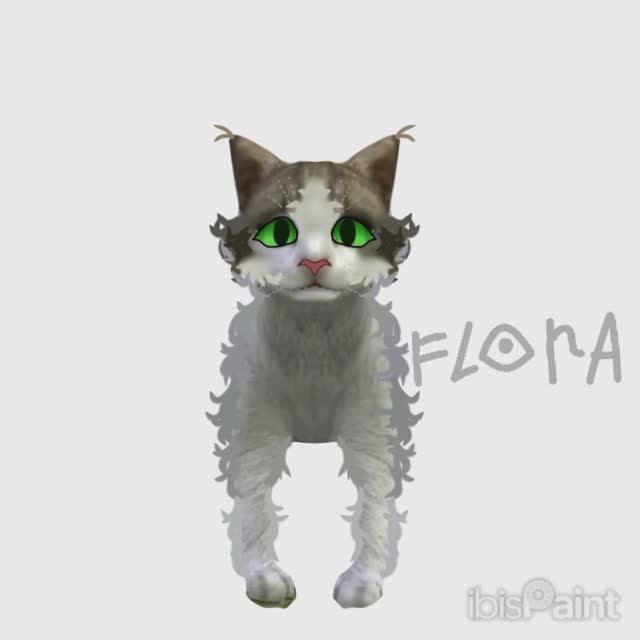 крисс(кет сим)