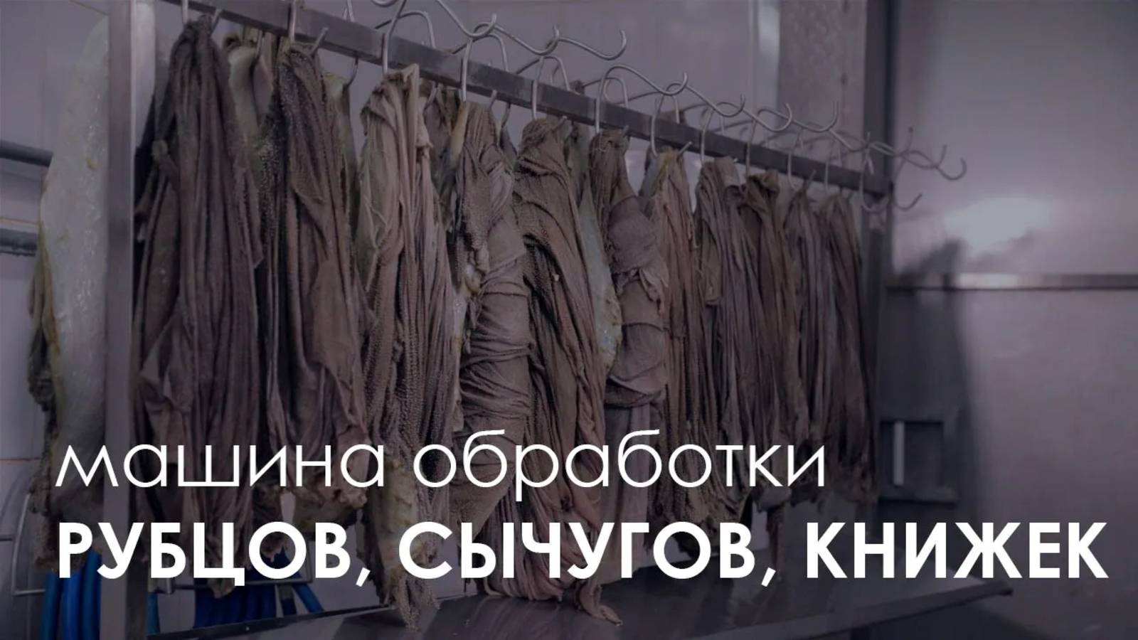 Машина мойки и шлямовки рубцов, сычугов, книжек LF-VB30