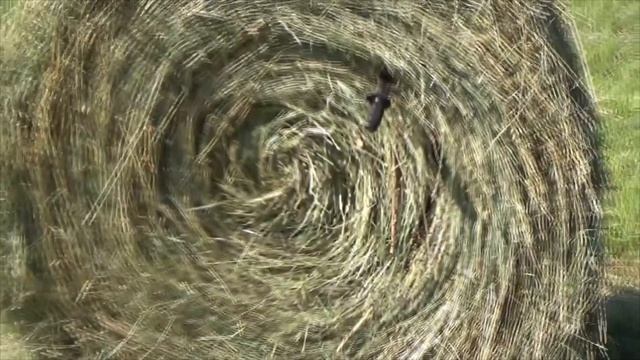 "Я, все-равно, тебя люблю!" слова и музыка Инны Марухленко, исп. Инна Марухленко и Владимир Морозов