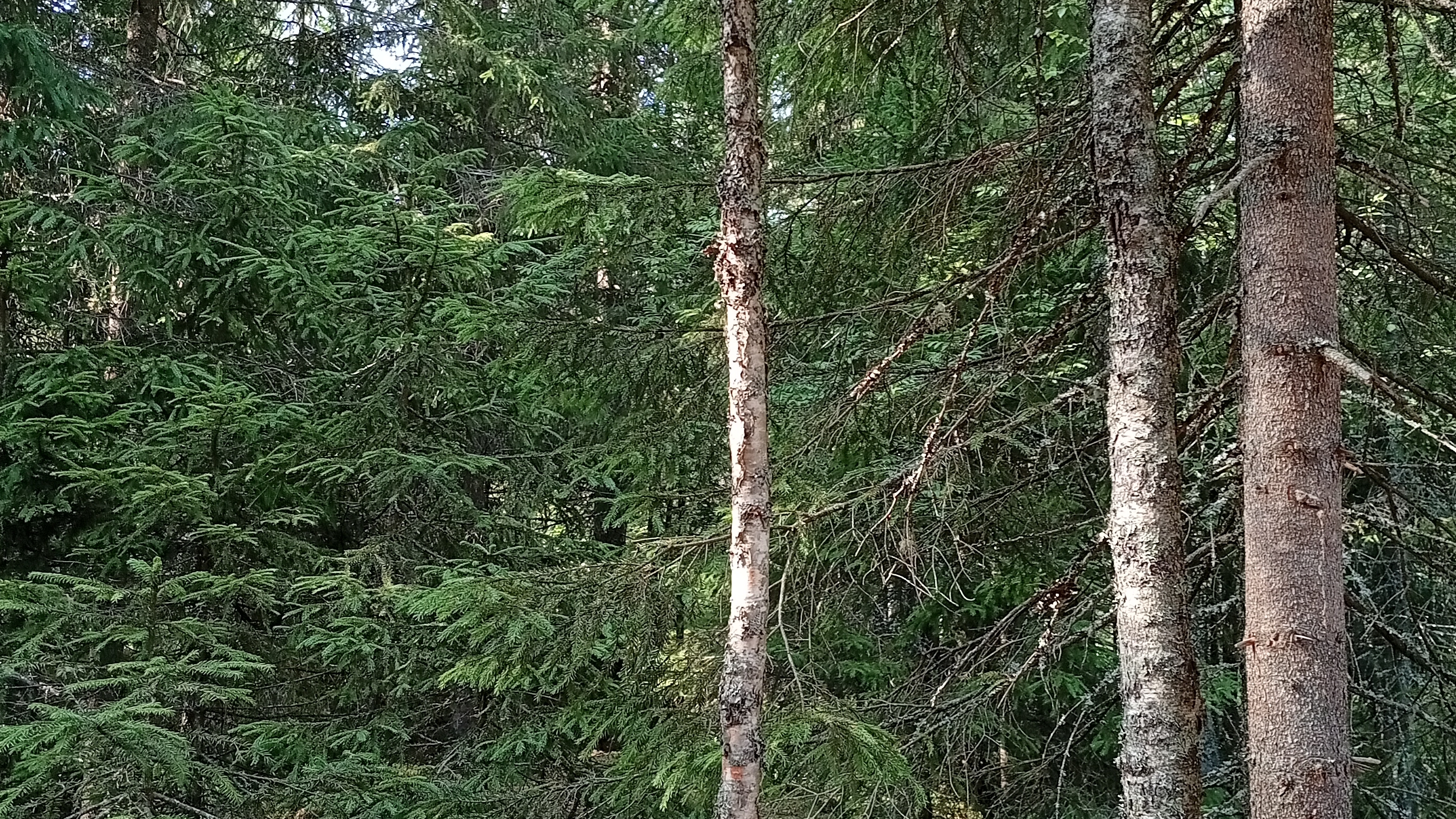 Я рядом с подземным озером