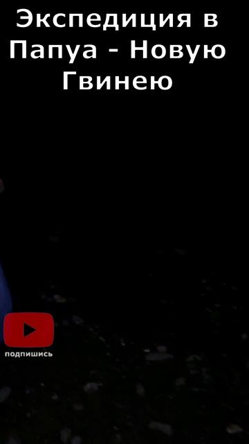 266. Река Кабену. Ночью возвращаемся в д. Горенду (3)