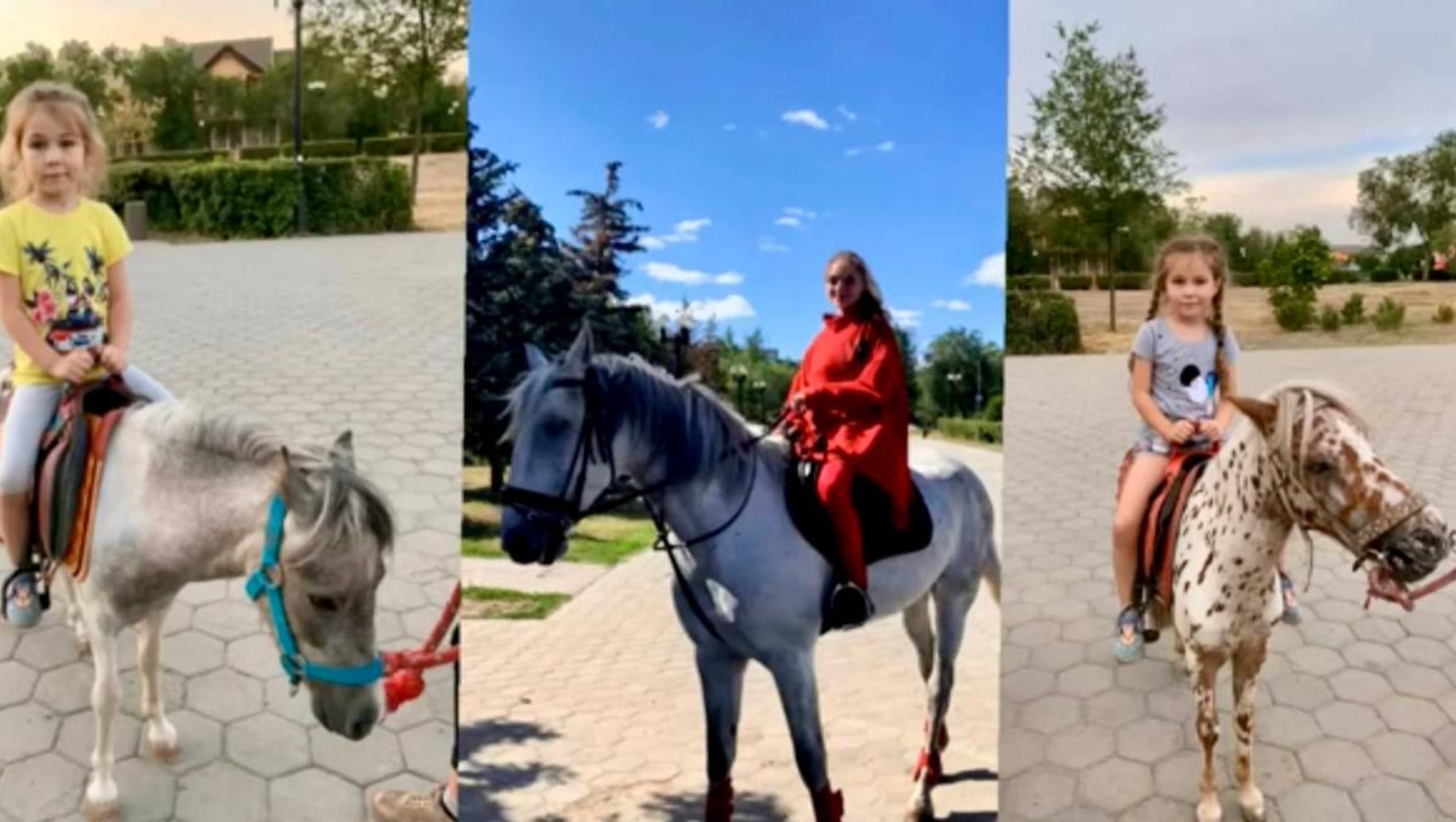 ПОНИ. Весёлая прогулка ..