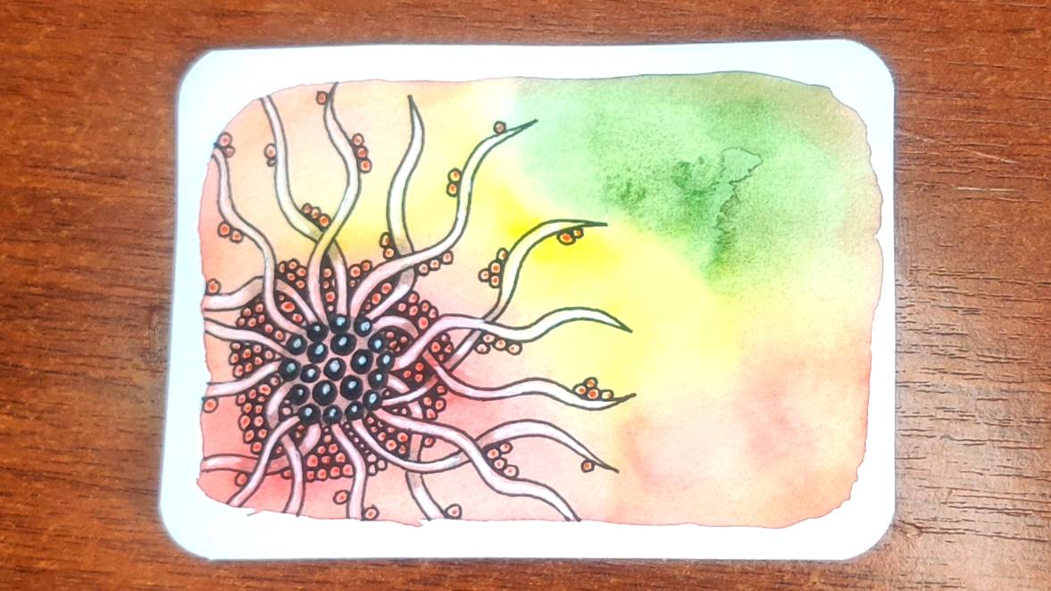 АТС ЗенБукет 1