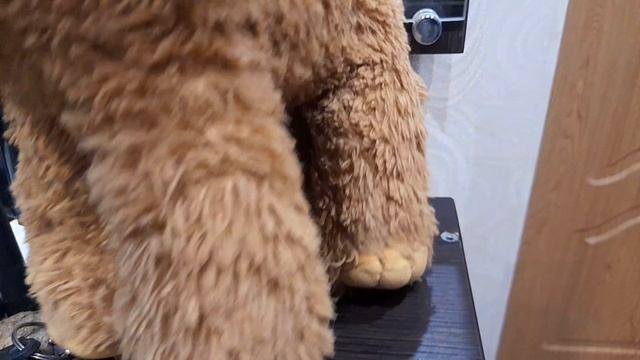 school драки runaway трейлер