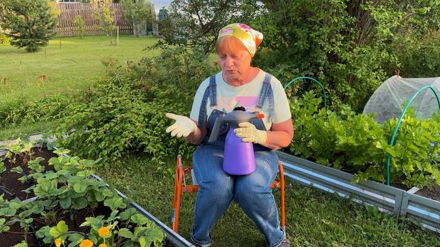 Про клубнику, белокрылку, подкормки и мой новый опрыскиватель.