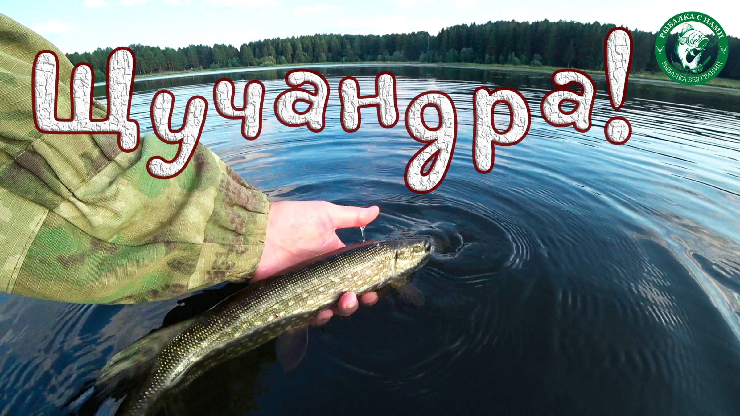 ЩУКА СХВАТИЛА БЛЕСНУ У НОГ, ПОДПИСЧИКИ, ЛОВИМ В БРОДНЯХ НА ПРУДУ У ДОМА В АВГУСТЕ, РЫБАЛКА НА УРАЛЕ!