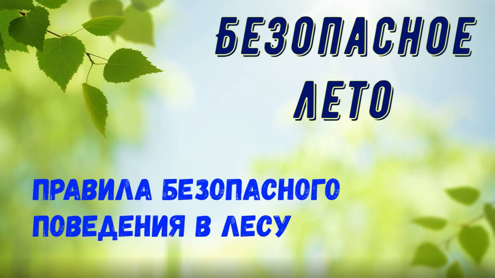 Правила безопасного поведения в лесу