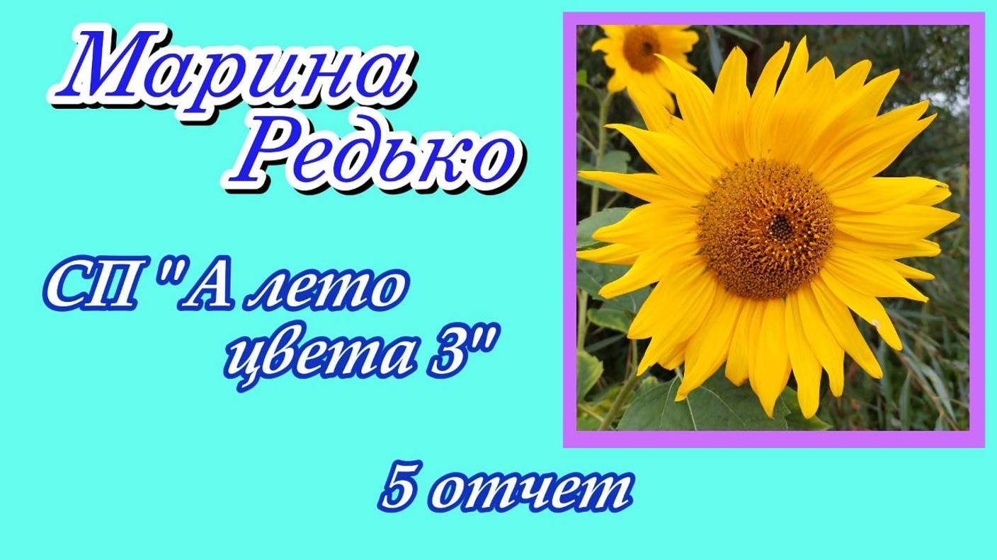 СП "А лето цвета... 3" / 5 отчет