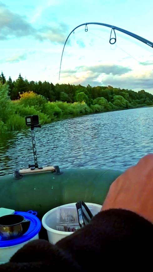 С ТАКОЙ РЫБОЙ ПОДСАК НЕ НУЖЕН!!!