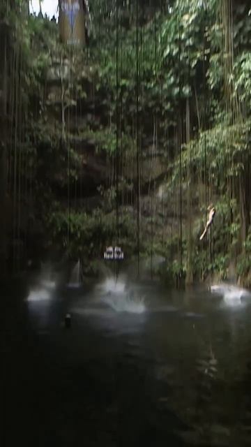 Прыжки в воду