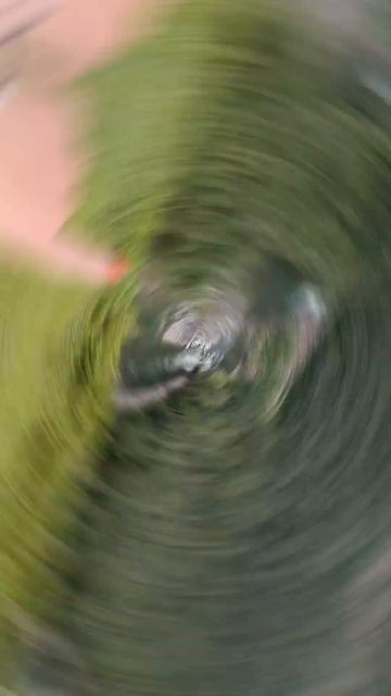 это всё! что останется...