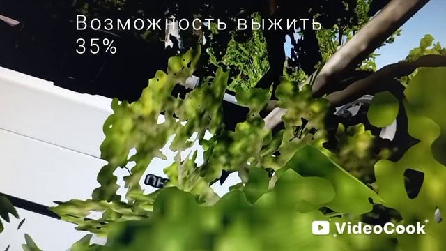 НОВИНКА! аварии в беменджи драйв