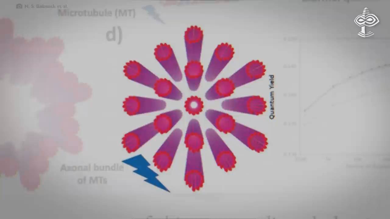 36-ВЕРСАДОКО-РАЗУМО-ВЕЩЬ: Как Уильям Клиффорд связал геометрию, материю и разум