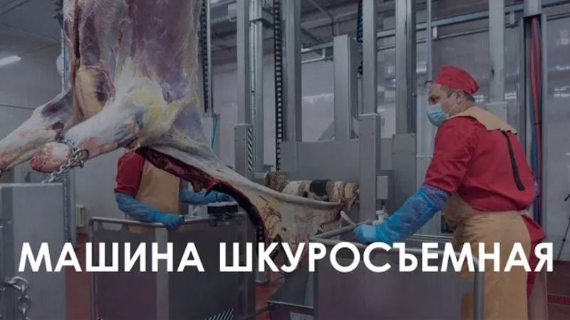 Машина шкуросъемная DA-3