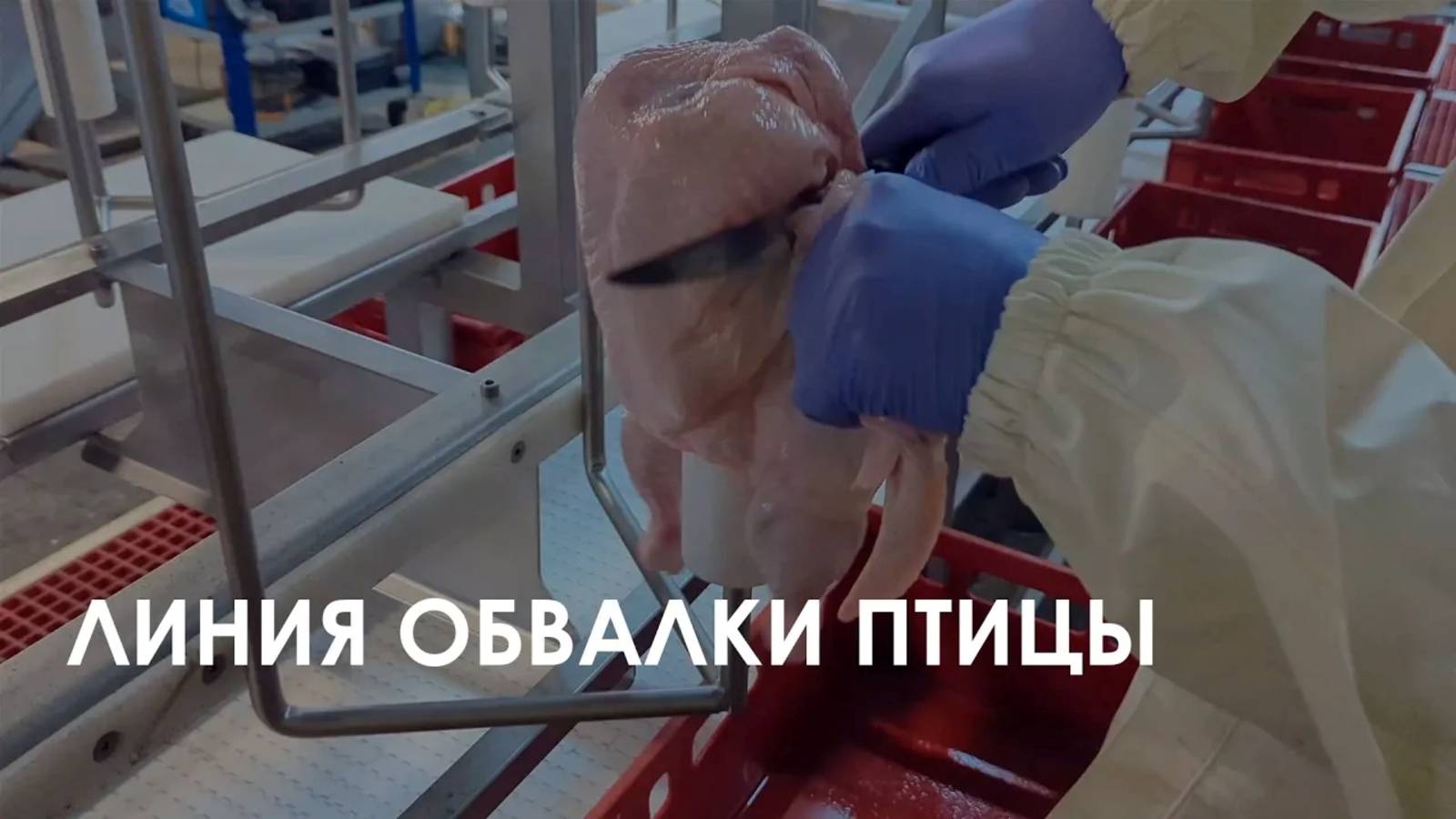 Линия обвалки птицы HD-7/7