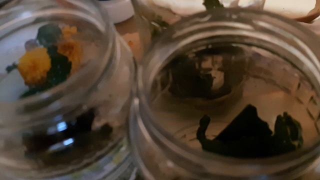 Заготовки на зиму 5 часть огурцы