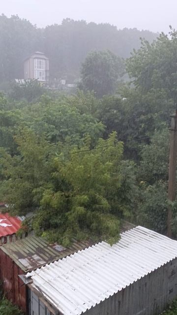 дождище. льет с ночи. Находка, 04.08.25