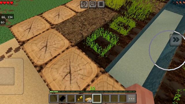 Мы построили экотропу.