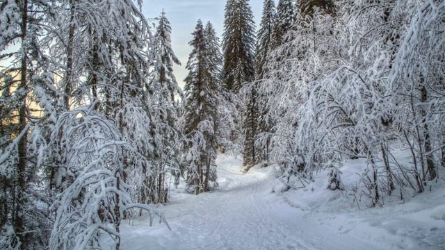 Видеофутажи