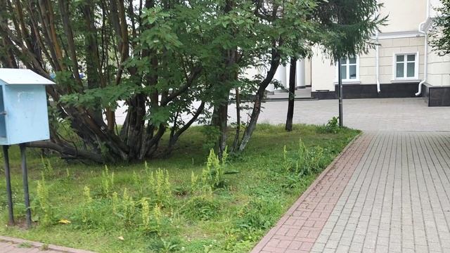 Утро Мурманск 04-08-2025