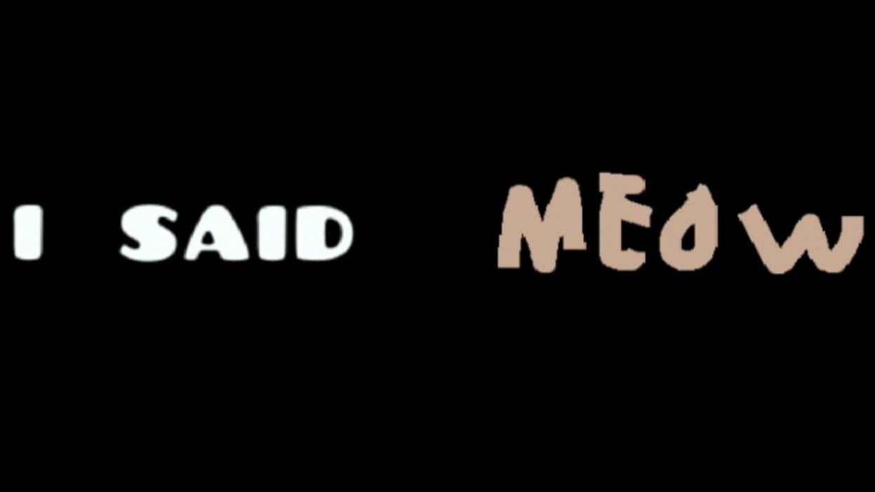 I said MEOW by CHO10  (Harder) (Daily)