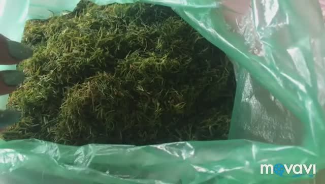 Теперь замораживаю зелень ТОЛЬКО ТАК!!!