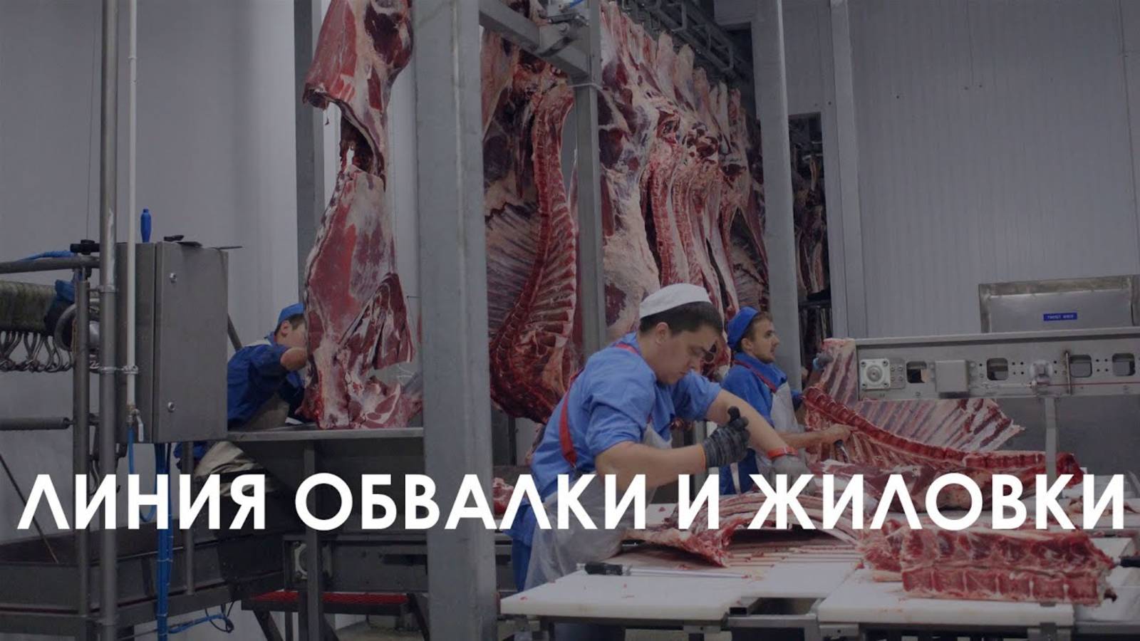 Линия обвалки и жиловки свиней и КРС HD FELETI