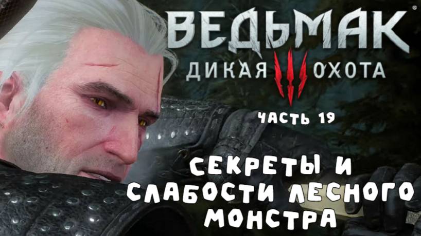 Ведьмак 3: Танцы со смертью в лесу – Лешачиха не по зубам (часть 19)